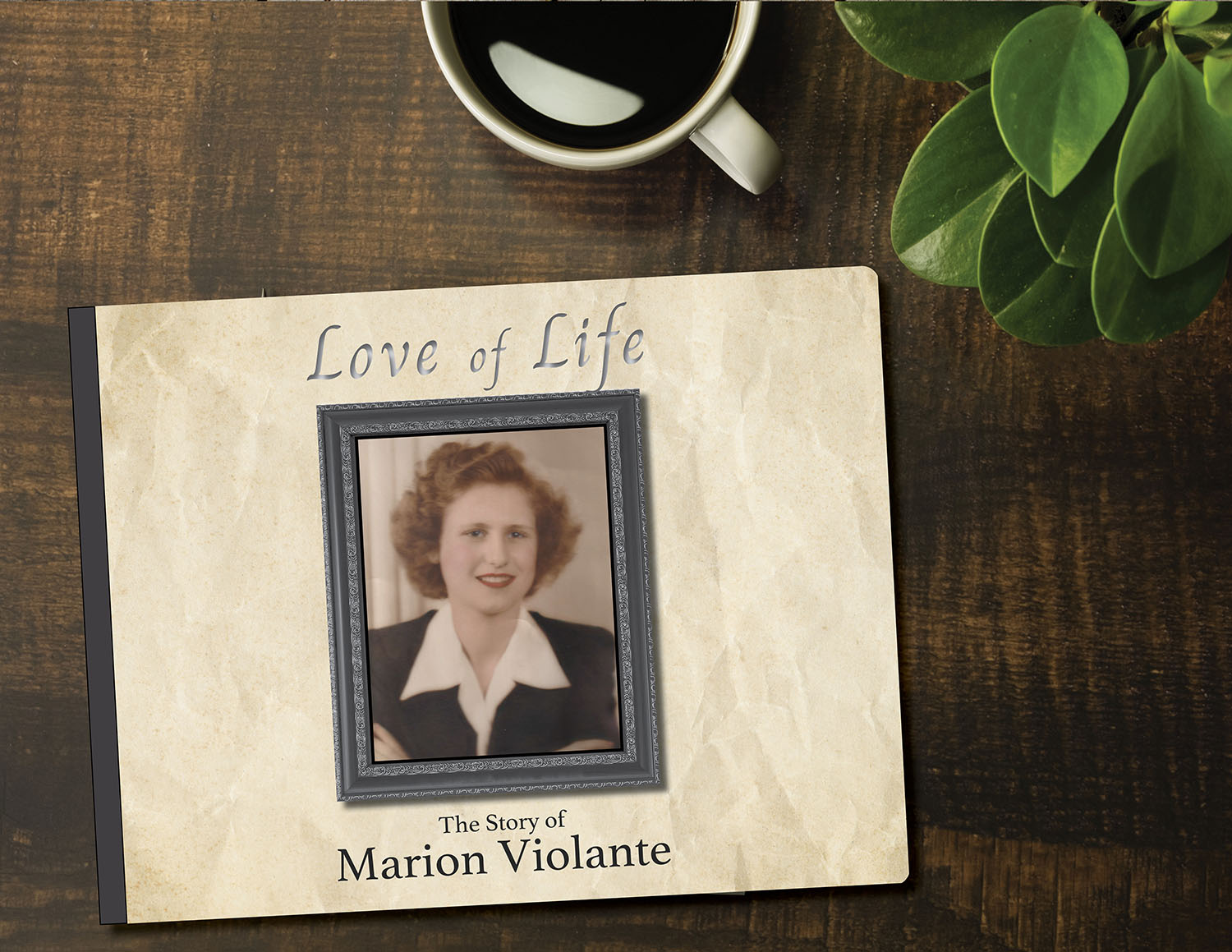 Give a LifeBook as a Gift - Write My LifeBook